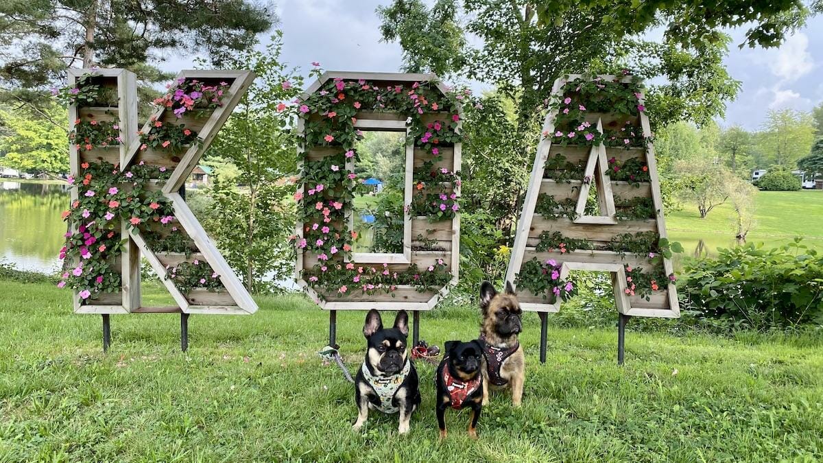 KOA's Dog Pen Campsites - Updated : DOG FRIENDLY TRAVEL